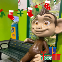 Home | Lil' Monkeys Burlington