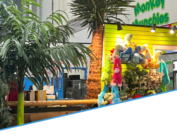 All Activities | Lil' Monkeys Burlington