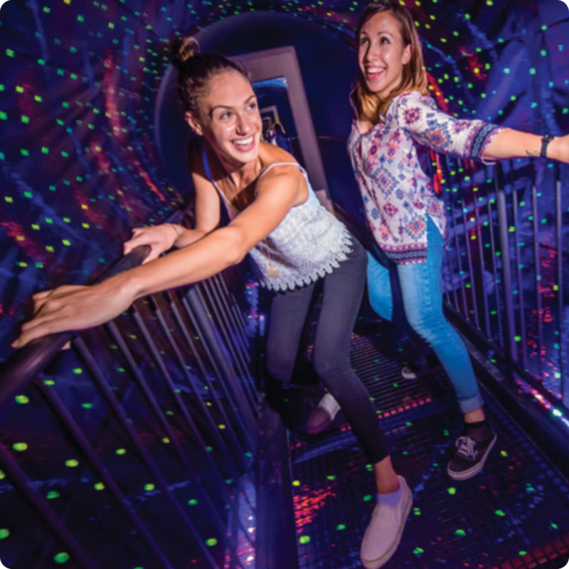 Lil' Monkeys Burlington | Kids Indoor Playground | Best Playground in ...